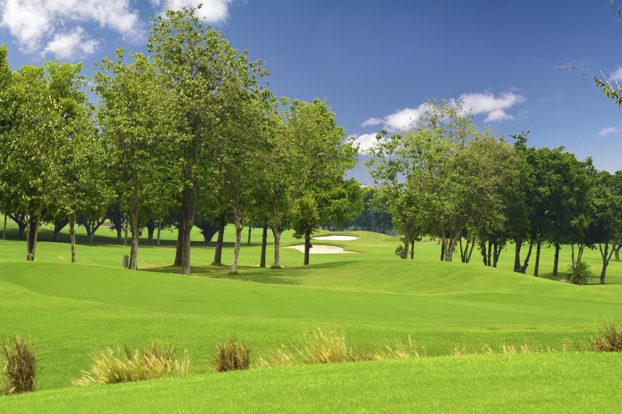 Home - Qutab Golf Course - DDA